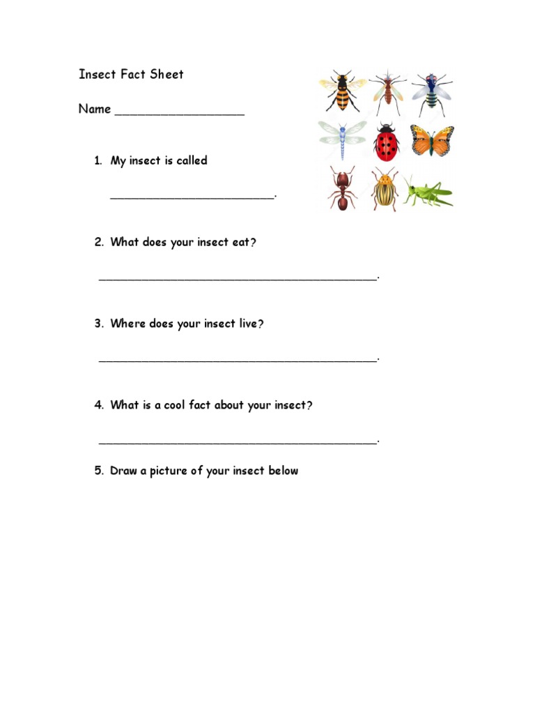 Insect Fact Sheet | PDF
