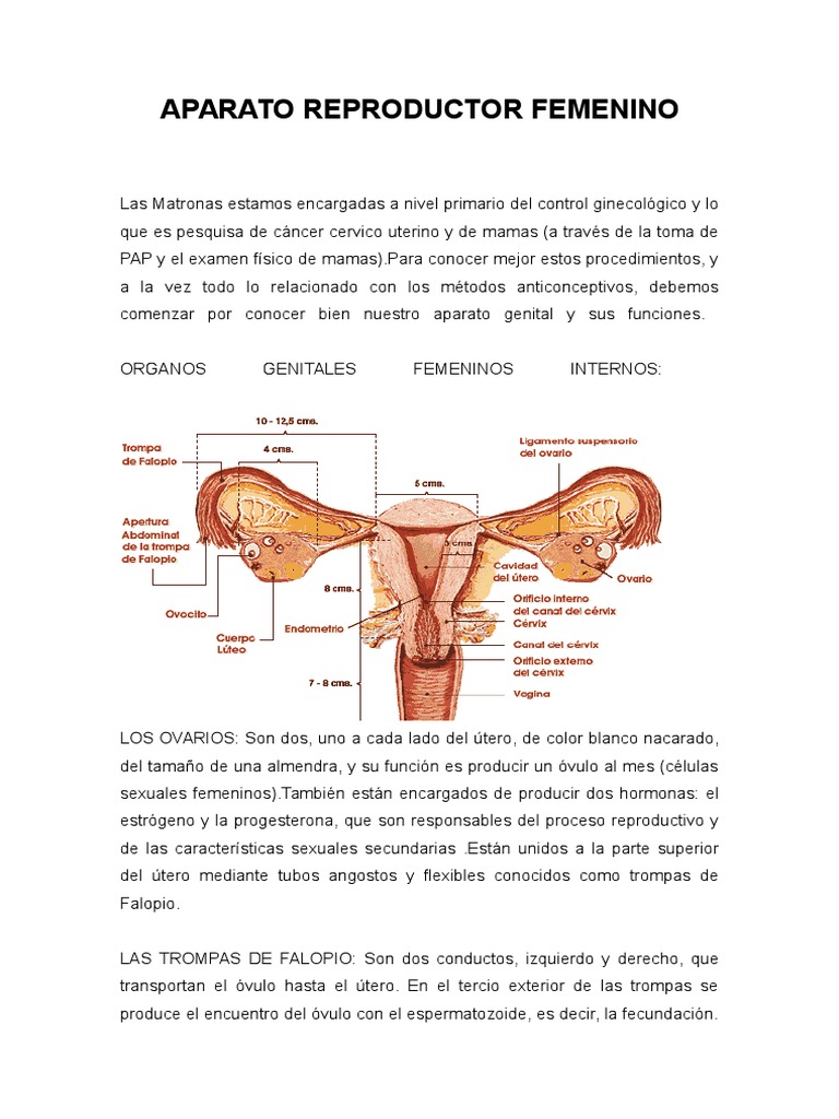 Aparato Reproductor Femenino