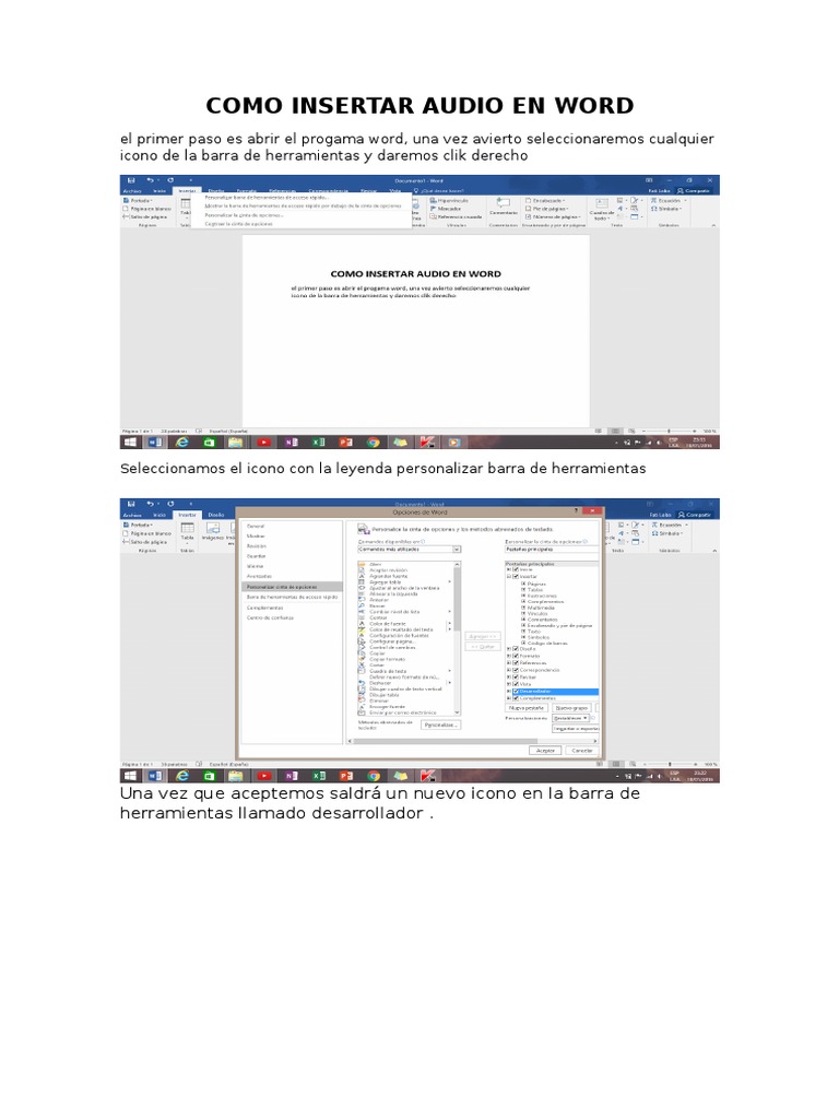Como Insertar Audio en Word | PDF
