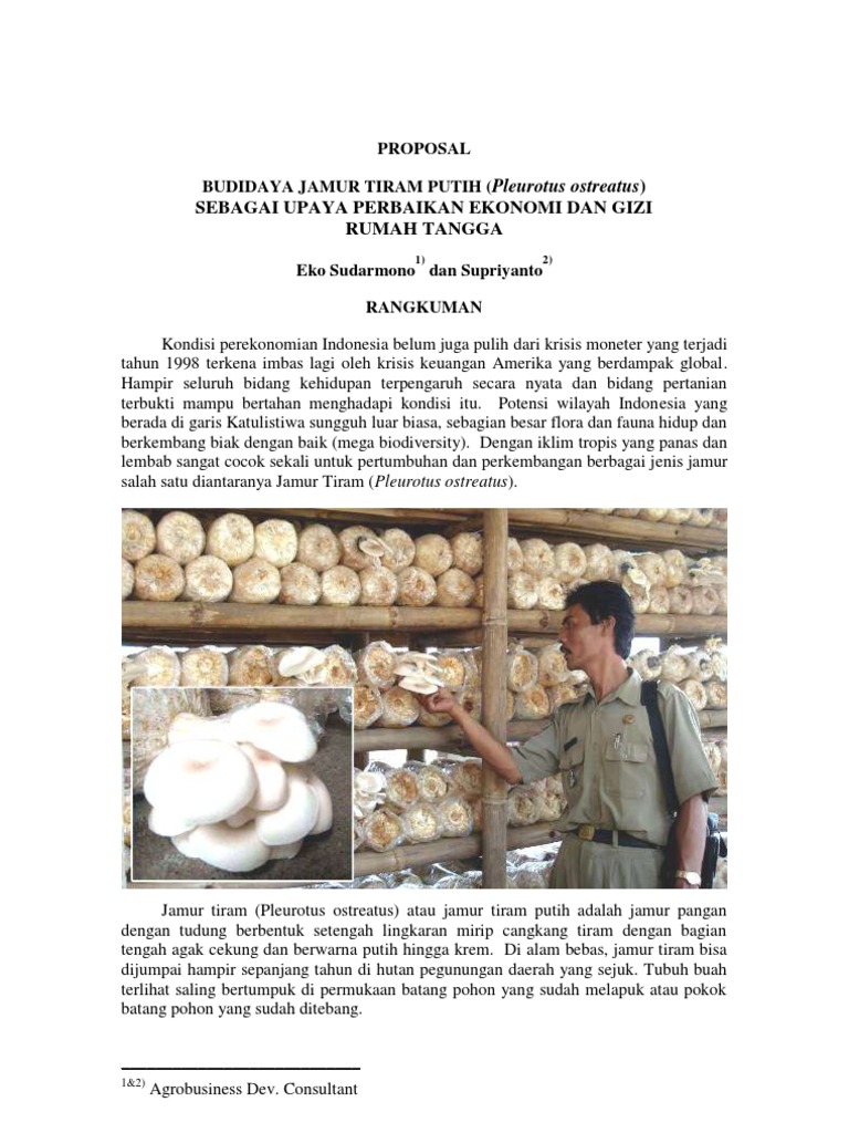 Rangkuman Proposal Jamur Tiram | PDF