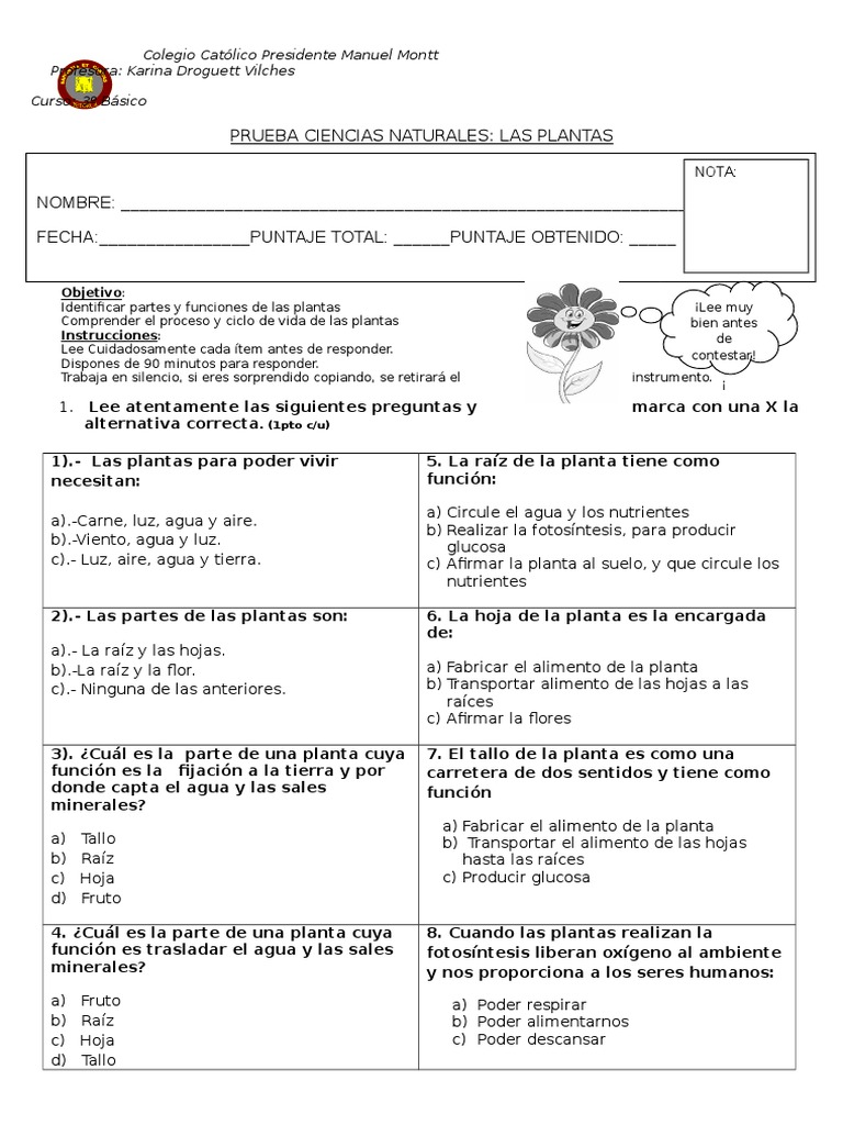 Comprensión de las plantas: Identificación de partes, funciones y ...