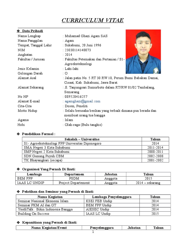 CV Agam | PDF