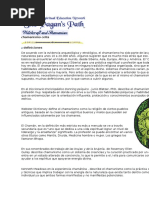 Ank Harttman Los Elementales de Paracelso | PDF | Filosofía | Adultos ...