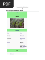 Glosario de briofitos y caulidios | PDF | Hoja | Plantas