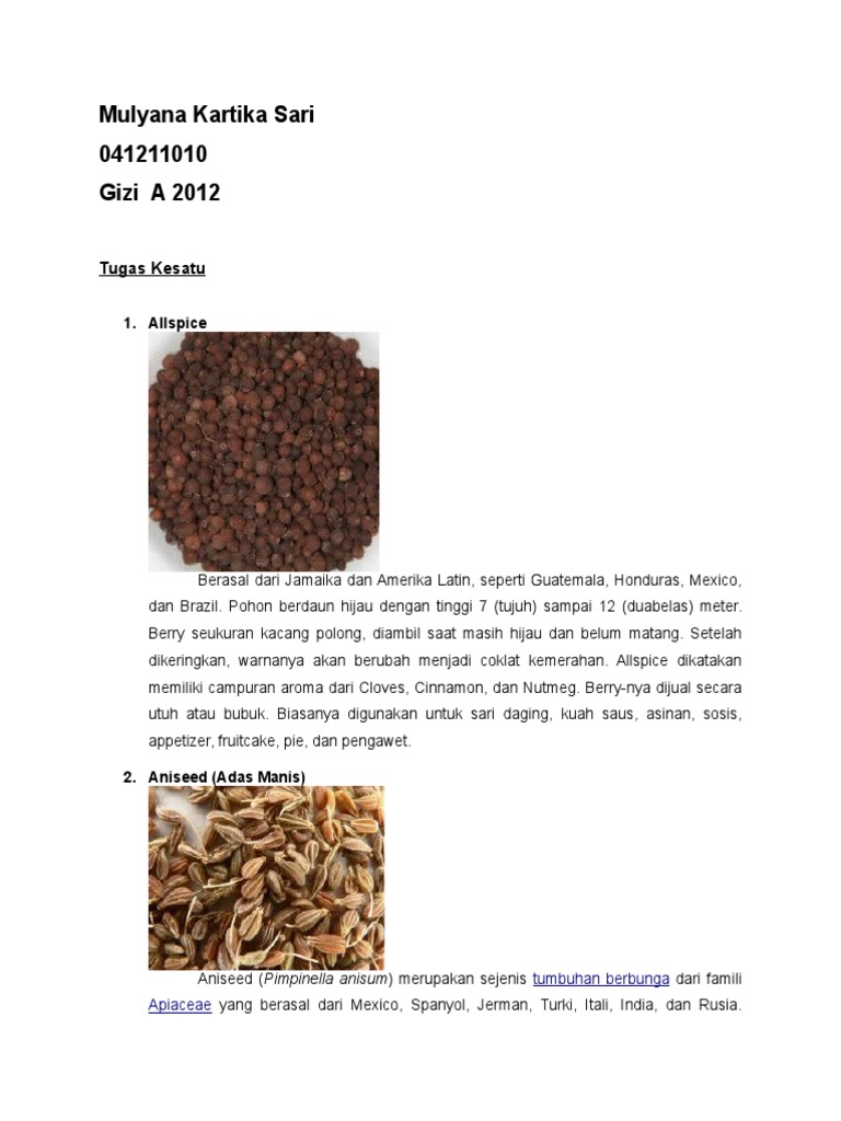 Jenis-Jenis Bumbu | PDF