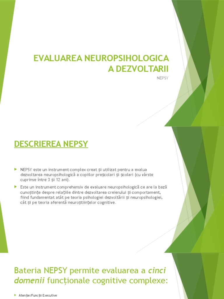 NEPSY | PDF