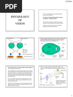 Grade 12 Life Science The Eye | PDF | Eye | Myopia