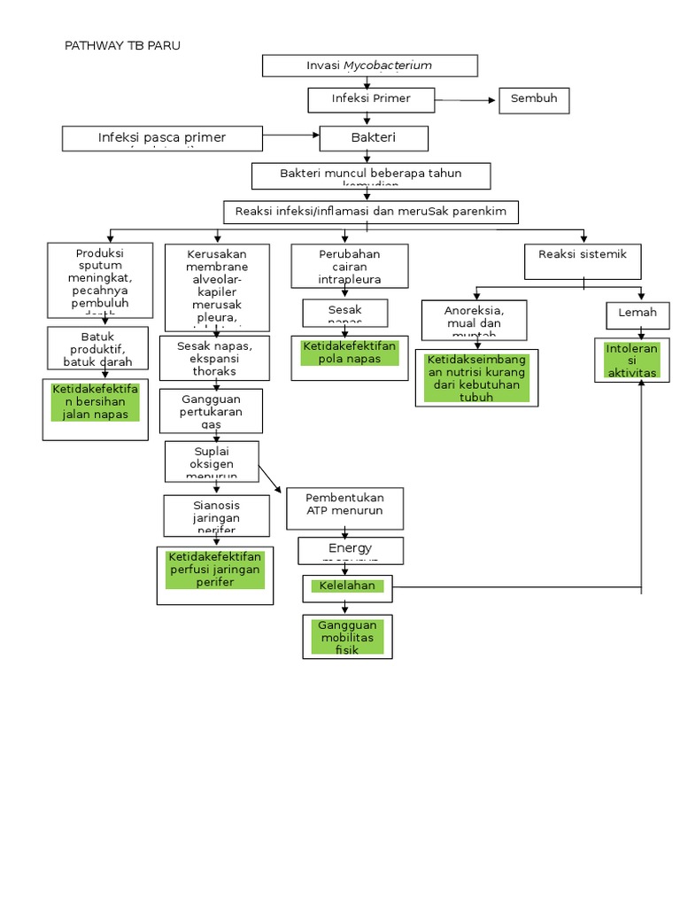 Pathway TB Paru | PDF | Griya & Taman | Kesehatan Holistik