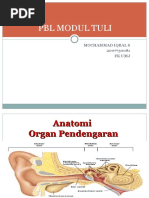 Anatomi Cavum Oris | PDF | Kajian Bahasa Asing