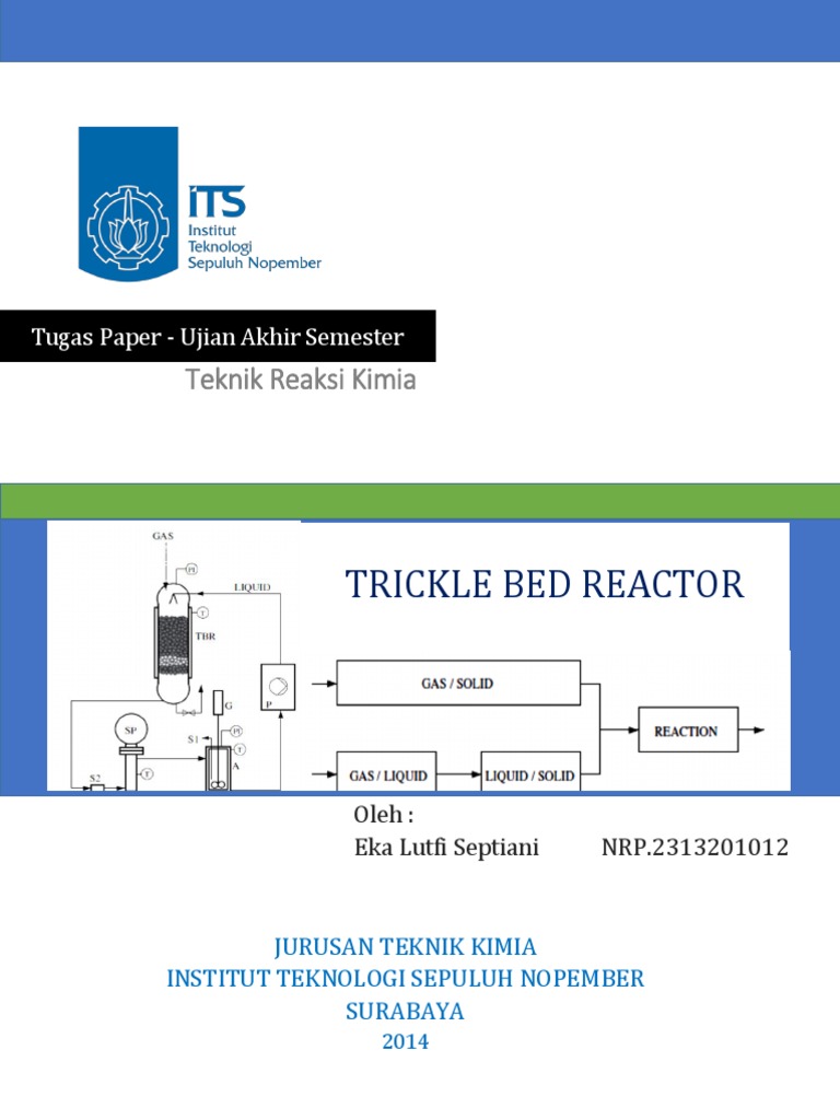 Trickle Bed Reactor | PDF