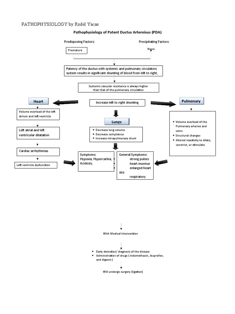 Pathophysiology of Patent Ductus Arteroisus (PDA)
