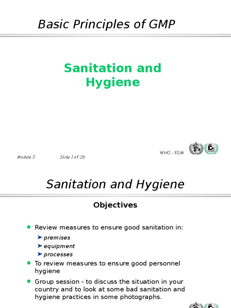 Basic Principles of GMP: Sanitation and Hygiene | PDF | Hygiene ...