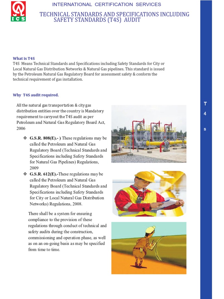 T4S Audit Guidelines and Requirements | PDF | Verification And ...