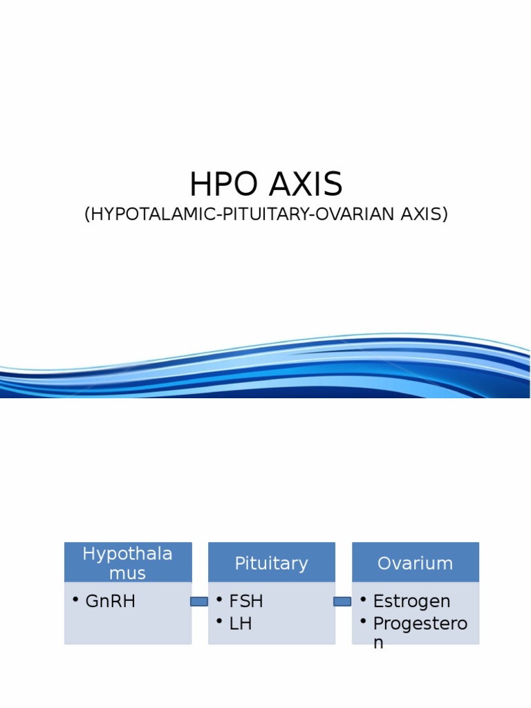 Hpo Axis | PDF