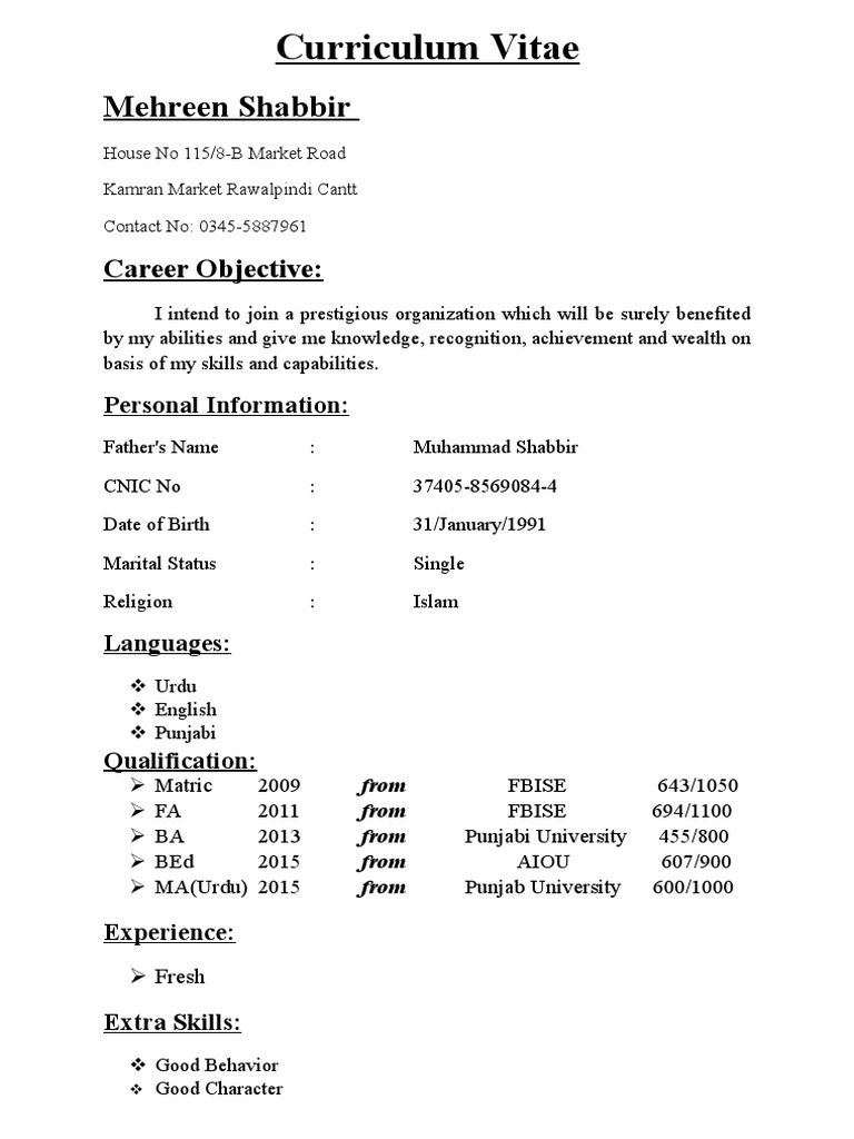Curriculum Vitae: Mehreen Shabbir | PDF
