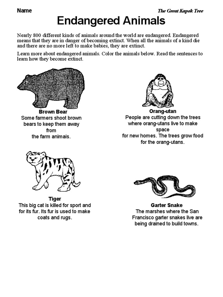 Endangered Animals | PDF