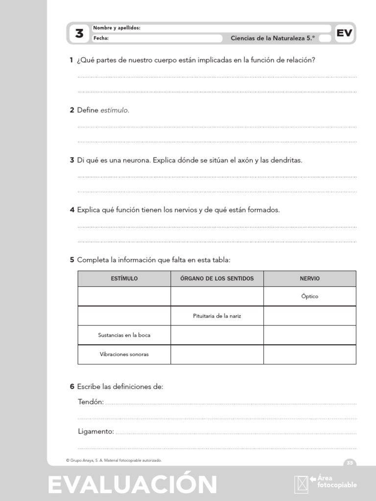 Anaya Saber Hacer Tema 3 PDF | PDF