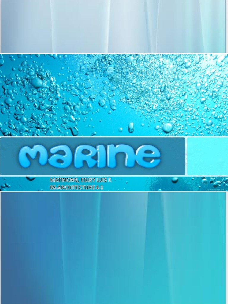 Marine Report | Download Free PDF | Marine Biology | Eutrophication