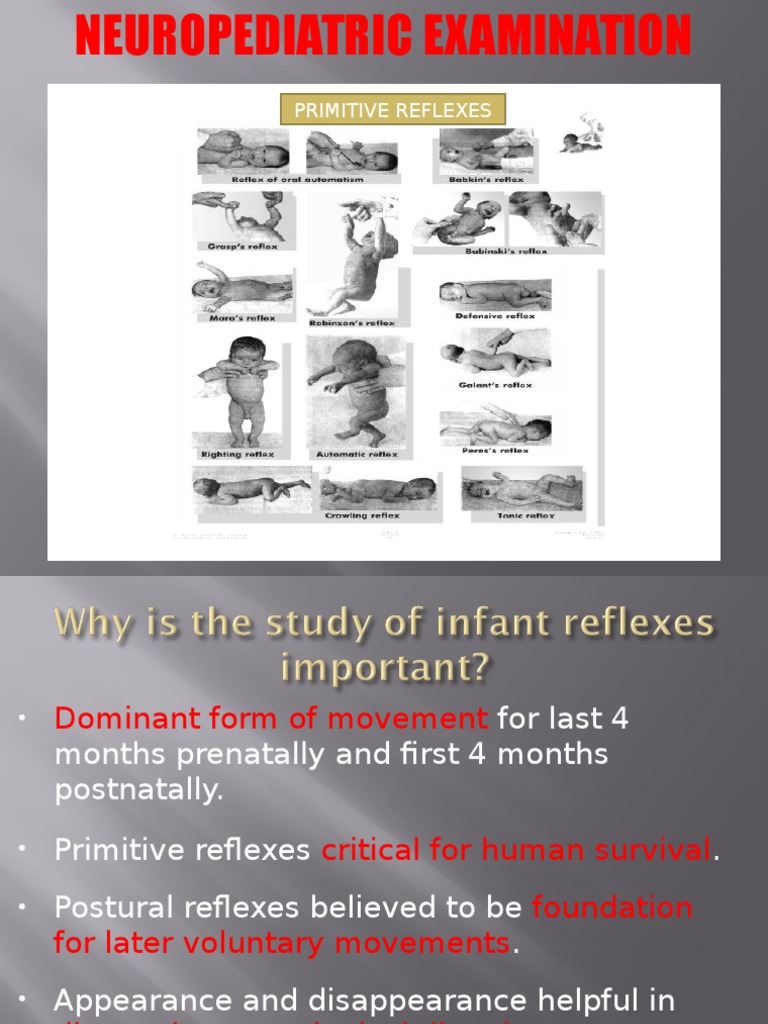 Neuropediatric Examination | PDF | Anatomical Terms Of Motion ...