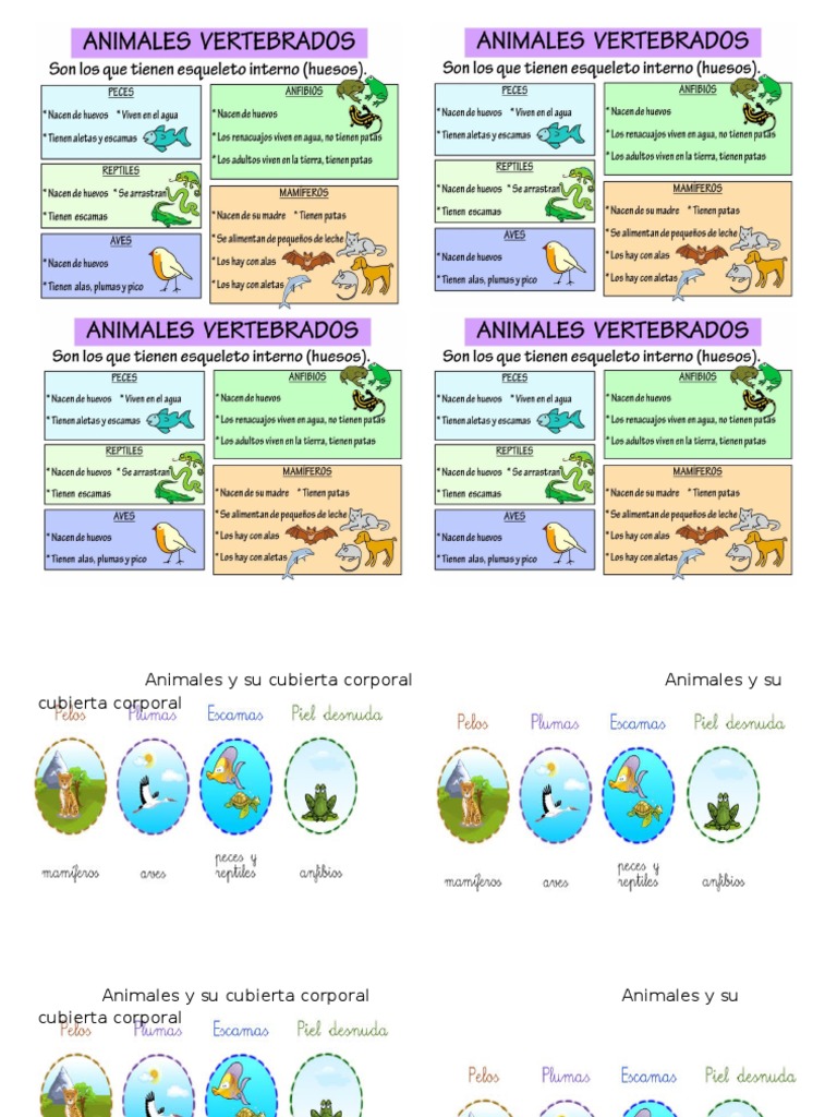 Animales y Su Cubierta Corporal Animales y Su Cubierta Corporal