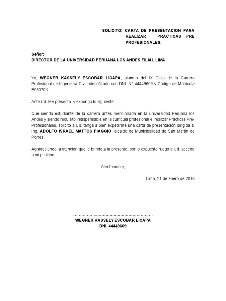 Modelo de Solicitud de PPP | PDF | Crecimiento personal y profesional ...