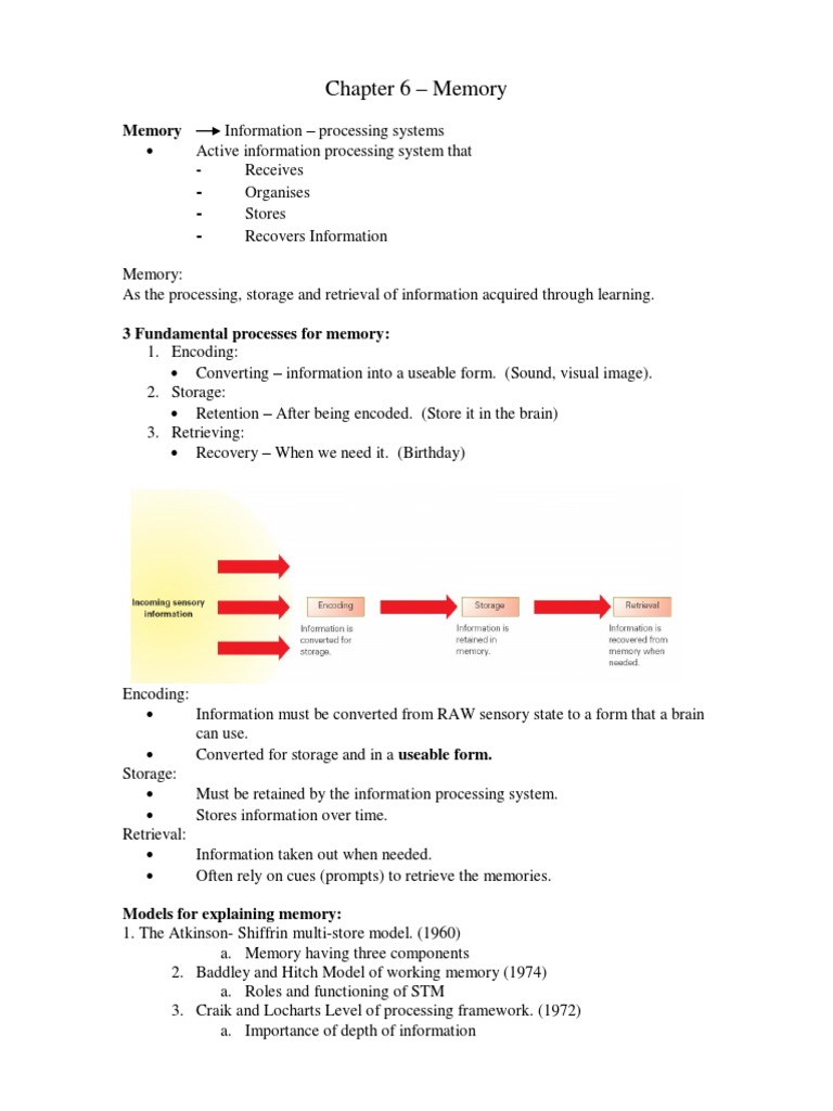 Chapter 6 - Memory | PDF | Memory | Recall (Memory)