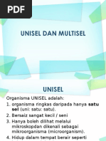 Topik 1 - Pengenalan Kepada Anatomi Dan Fisiologi | PDF