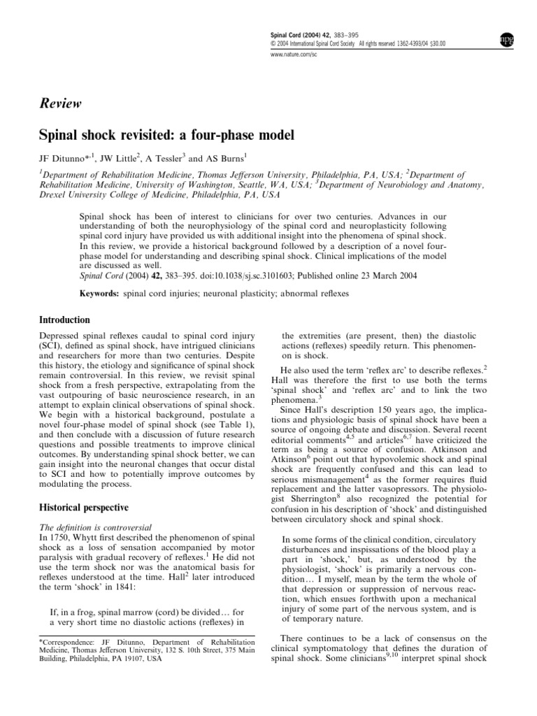 Fases Del Choque Medular | PDF | Neuron | Axon
