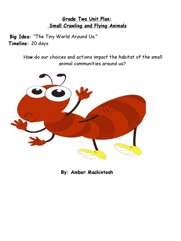 Grade 2: Small Crawling & Flying Animals | PDF | Insects | Predation