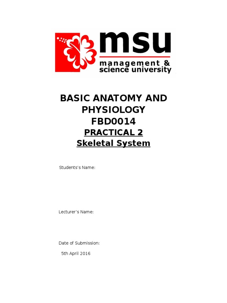 Skeletal System Lab Report Overview | PDF | Vertebral Column | Pelvis