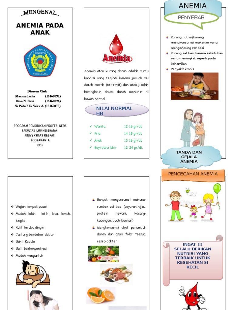 Leaflet ANEMIa | PDF