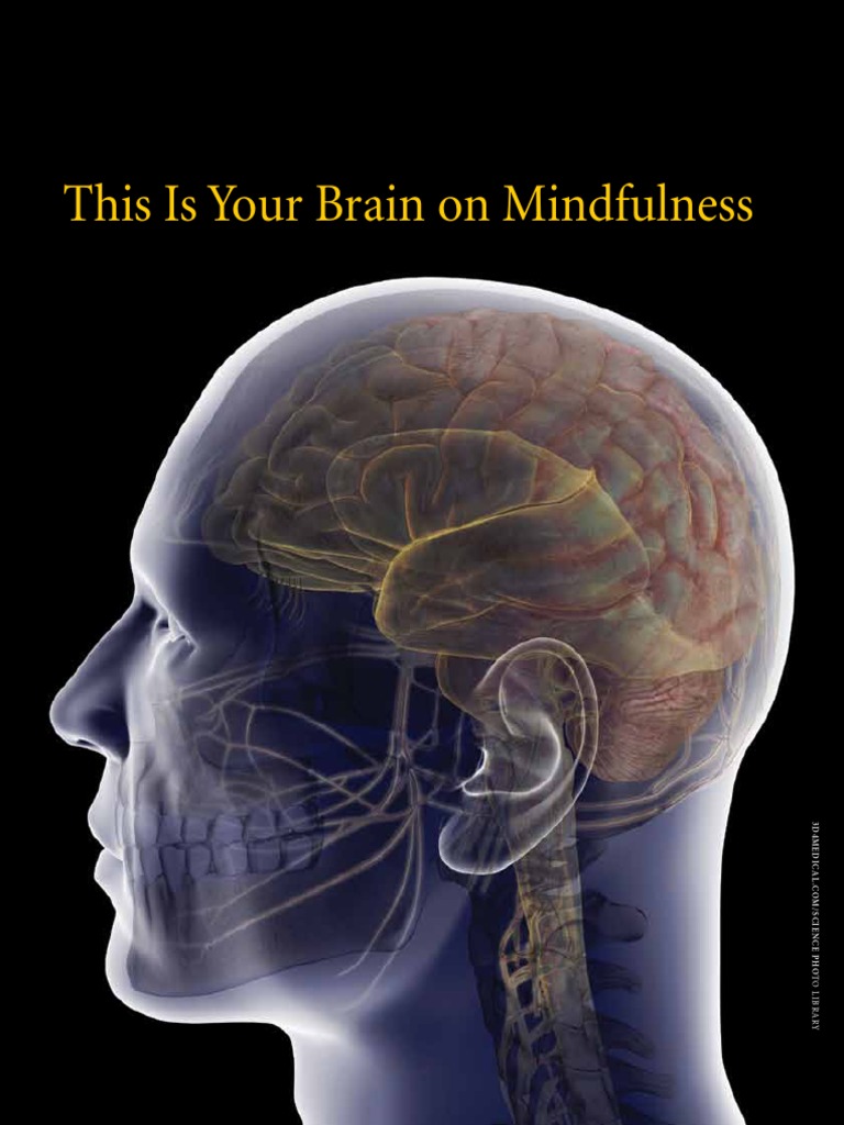 Brain Imaging - Meditation Research | PDF | Meditation | Mindfulness