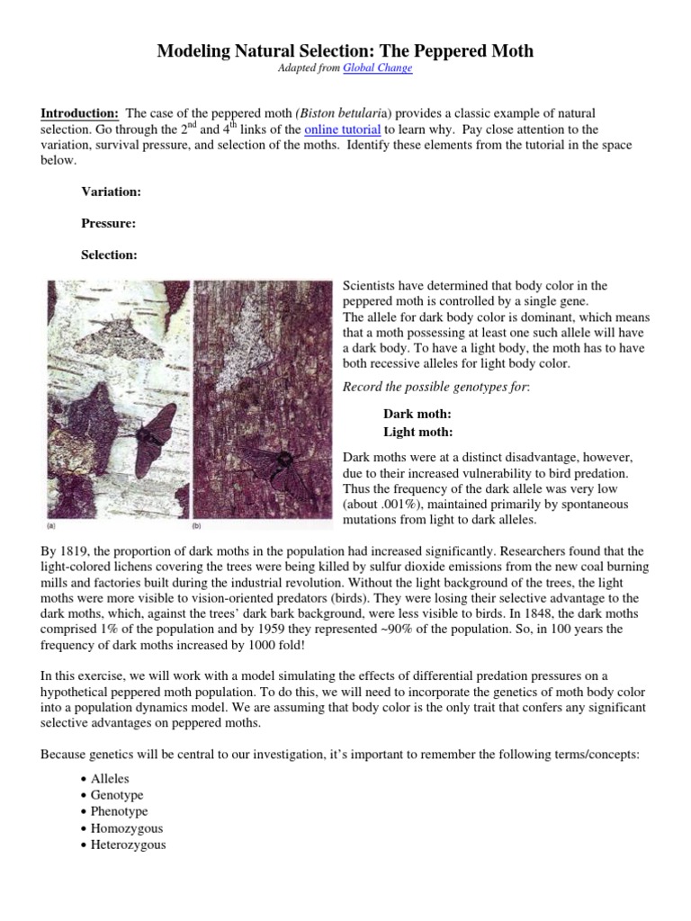 Modeling Natural Selection 2010 | PDF | Zygosity | Dominance (Genetics)