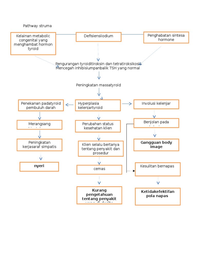 Pathway Struma 1 | PDF