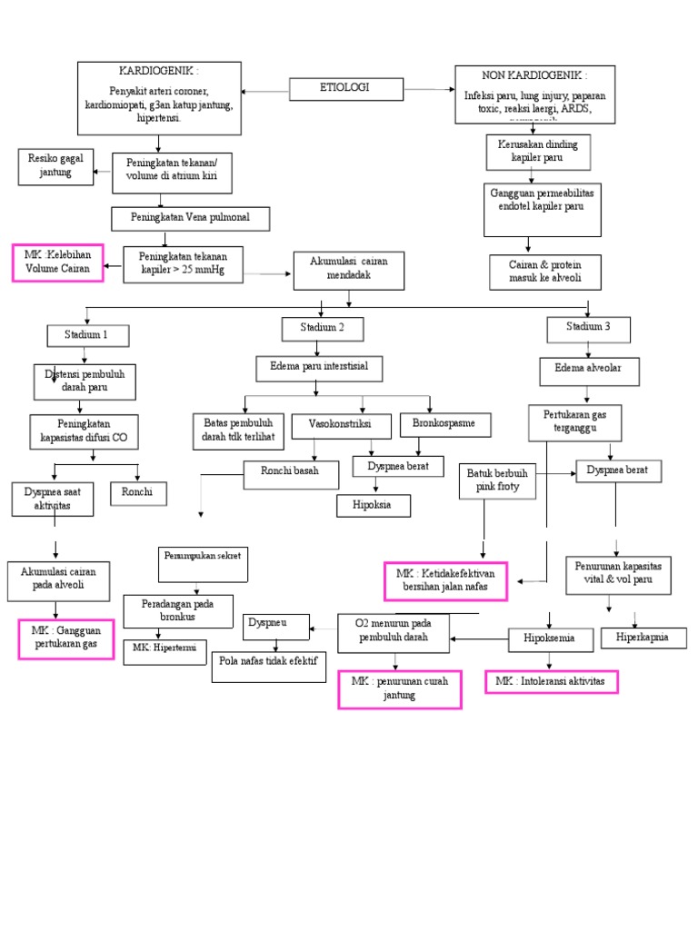Woc Acut Lung Oedem | PDF