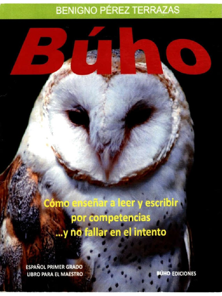 Buho Como Enseñar A Leer y Escribir Por Competencias | PDF | Educación ...