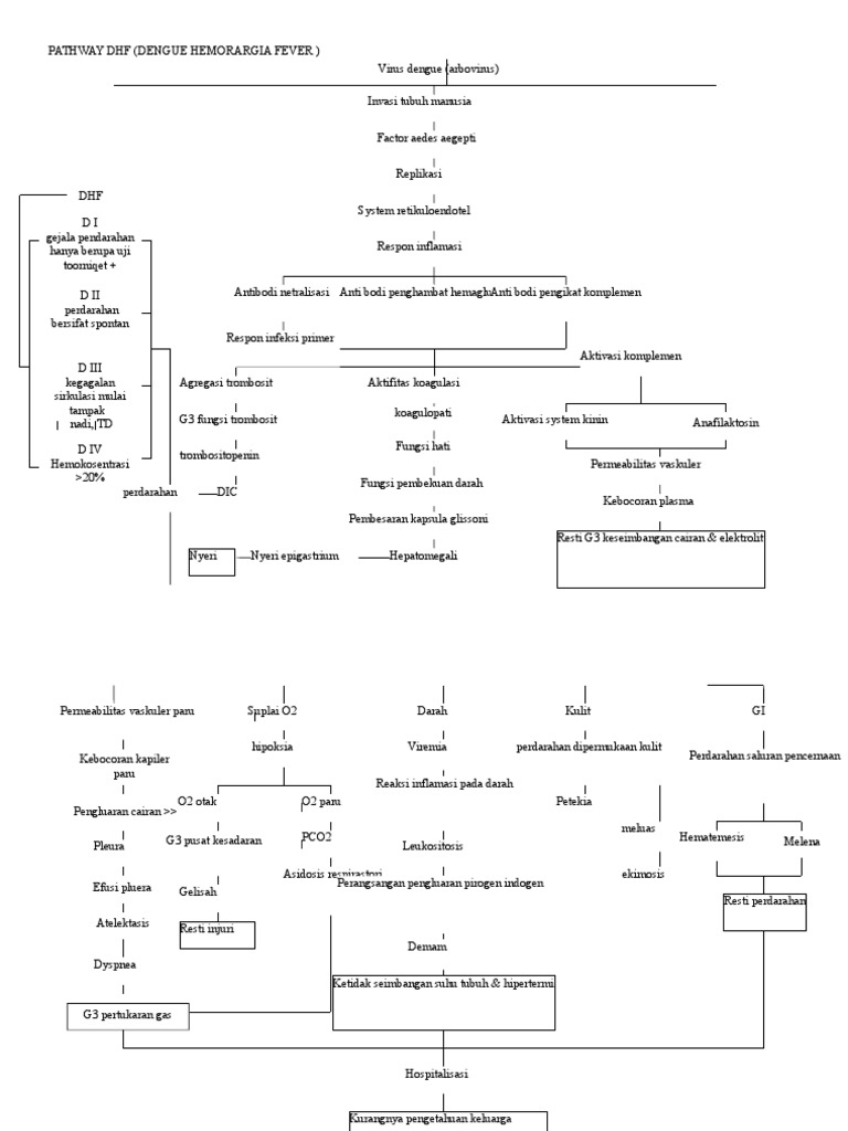 Pathway DHF | PDF | Kesehatan Holistik