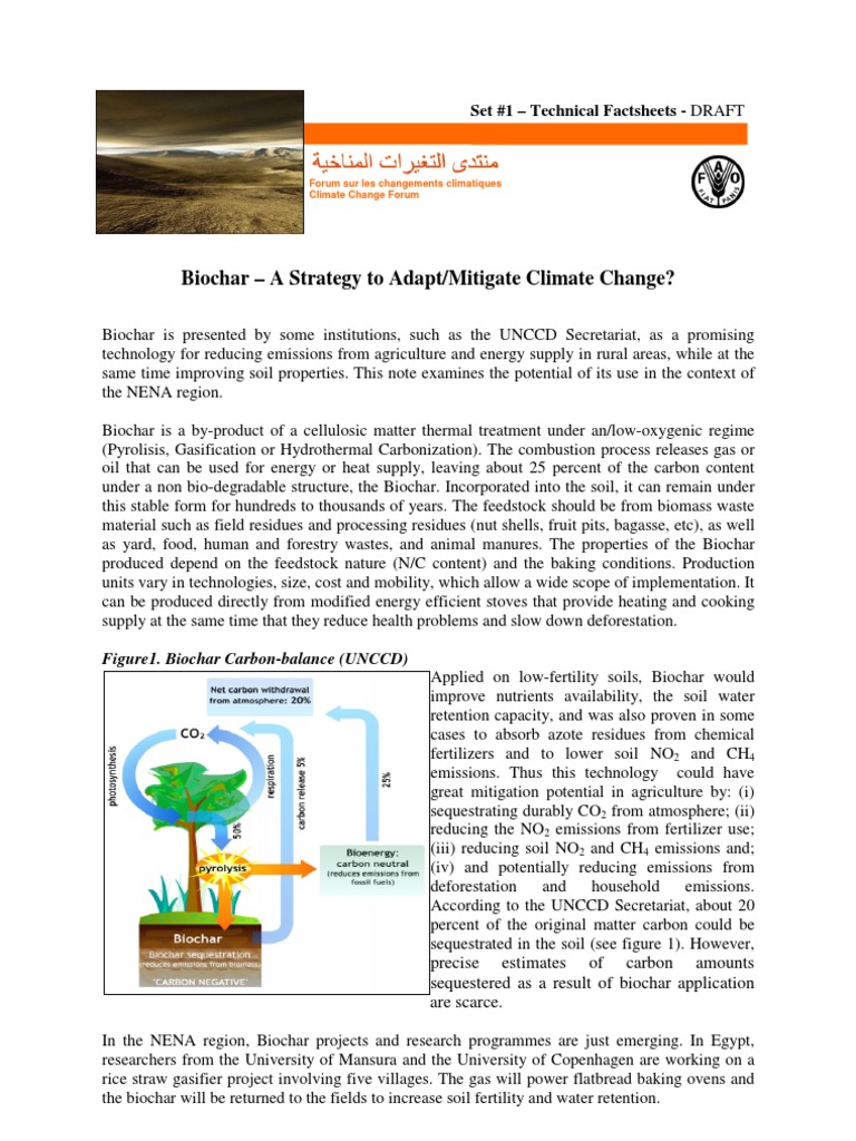 A Strategy To Adapt and Mitigate Climate Change | PDF | Climate Change ...