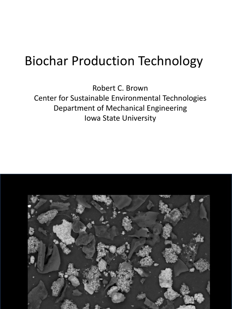 Biochar Production Technologies Overview | PDF | Pyrolysis | Gasification