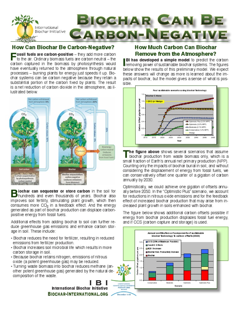 Biochar Can Be Carbon-Negative | PDF | Carbon Offset | Greenhouse Gas