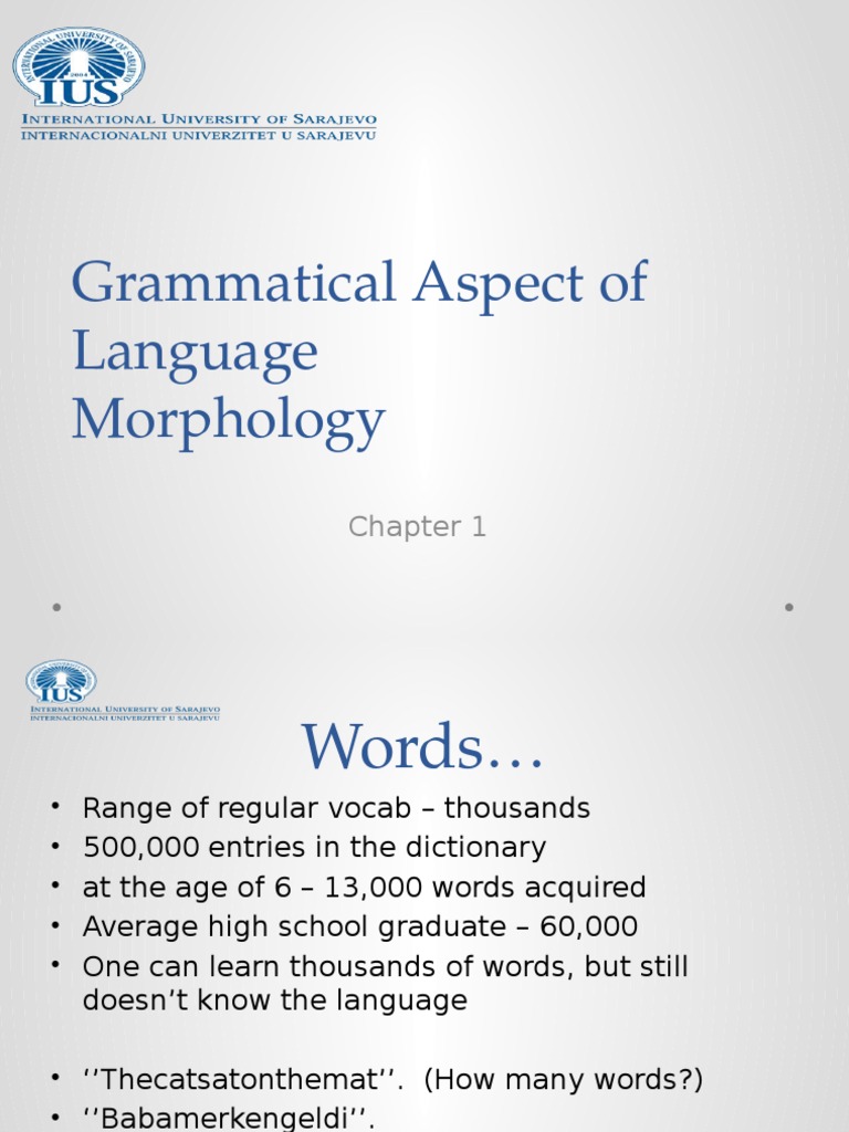 Grammatical Aspect of Language Morphology | PDF | Part Of Speech | Word