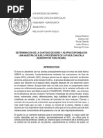 Fertico Sulfonit | PDF | Fertilizante | Nitrógeno
