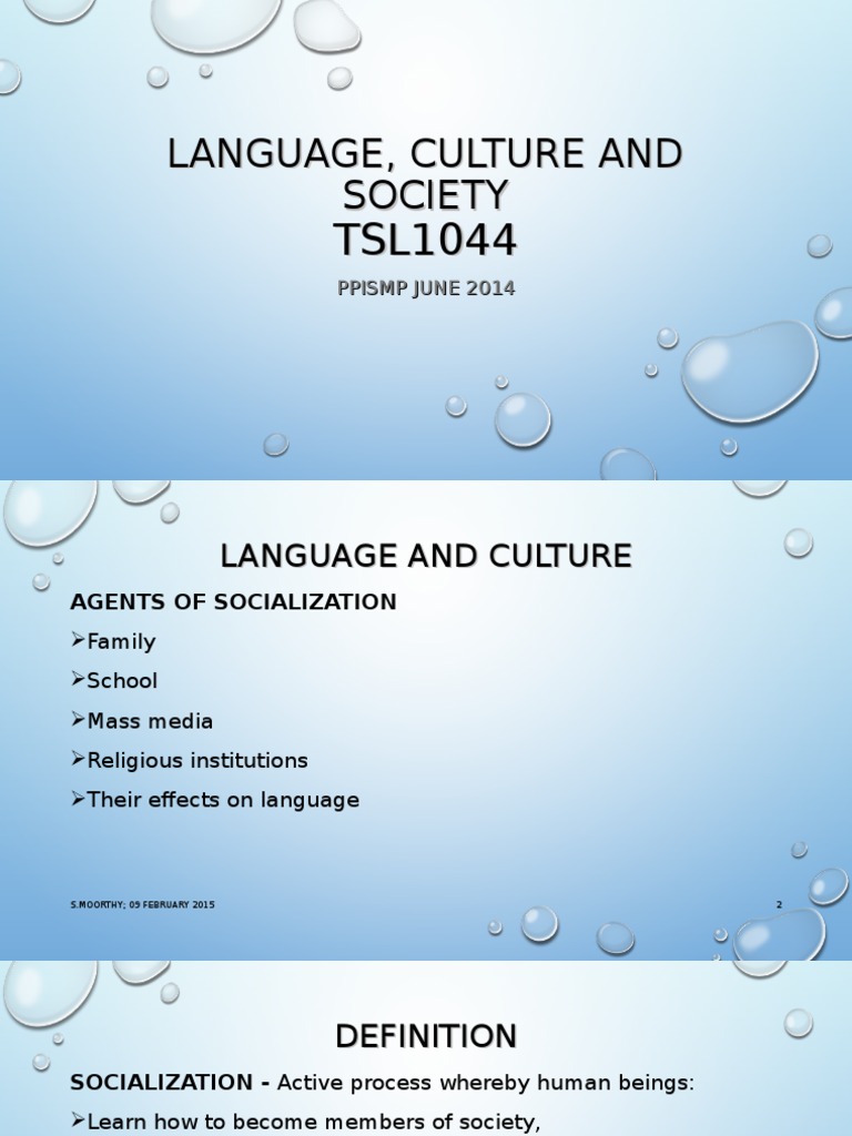 Agents Of Socialization Pdf Socialization Psychology