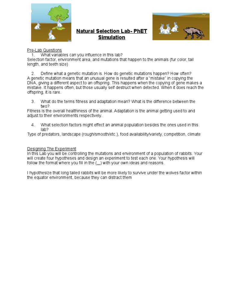 Phet Natural Selection-Shamira | PDF | Dominance (Genetics) | Organisms