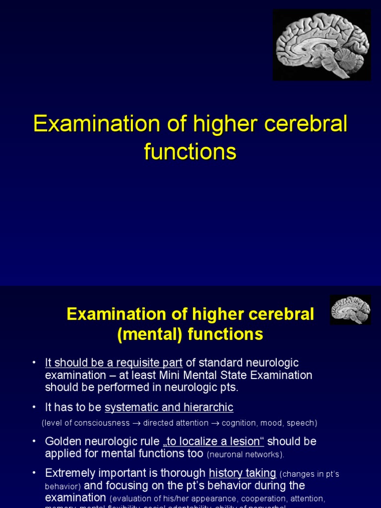 Comprehensive Examination of Higher Cerebral Functions: A Systematic ...