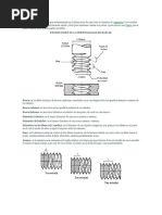 Proceso Del Machueleado | PDF | Perforar | Tornillo