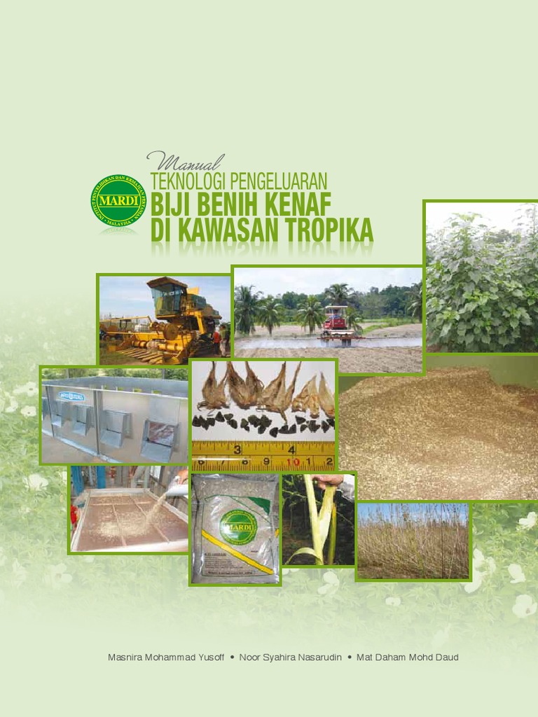 Manual Teknologi Pengeluaran - Biji Benih Kenaf Kawasan Tropika | PDF
