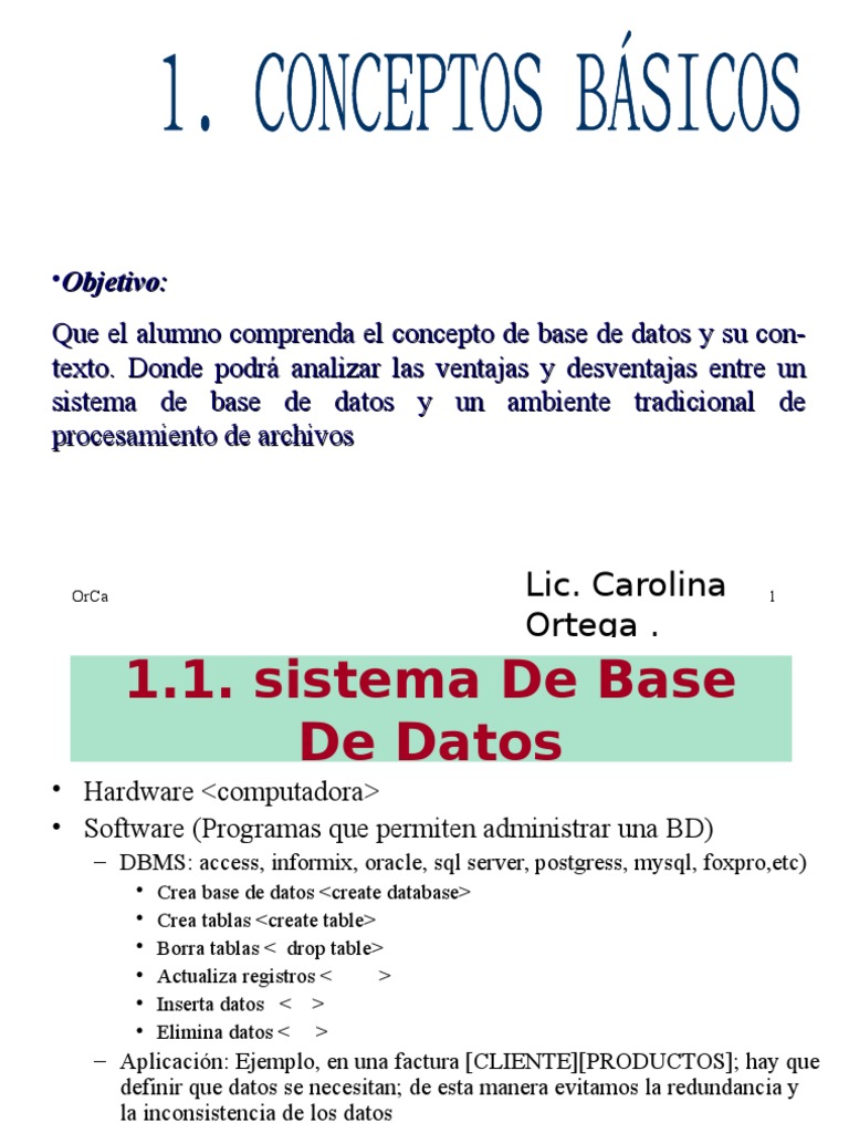 1.conceptos Basicos | PDF | Base de datos relacional | Bases de datos