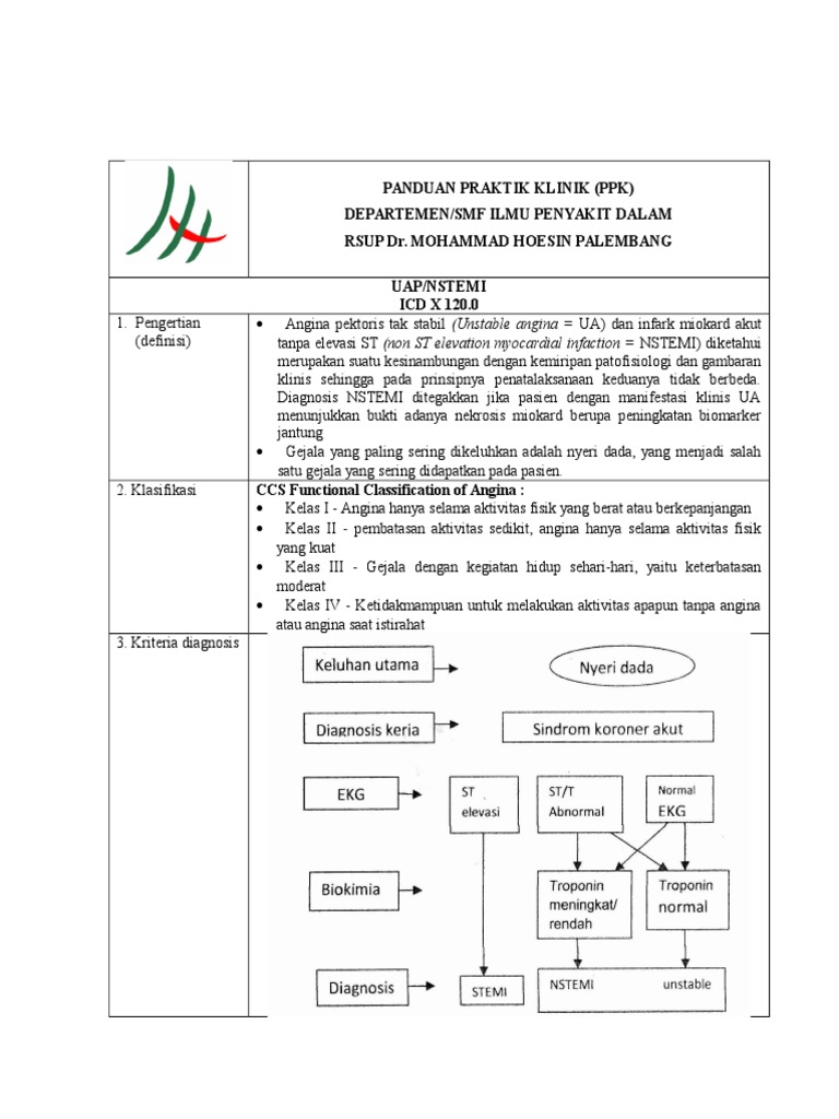 Panduan Praktik Klinik | PDF
