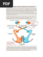 Reflejo Corneal | PDF